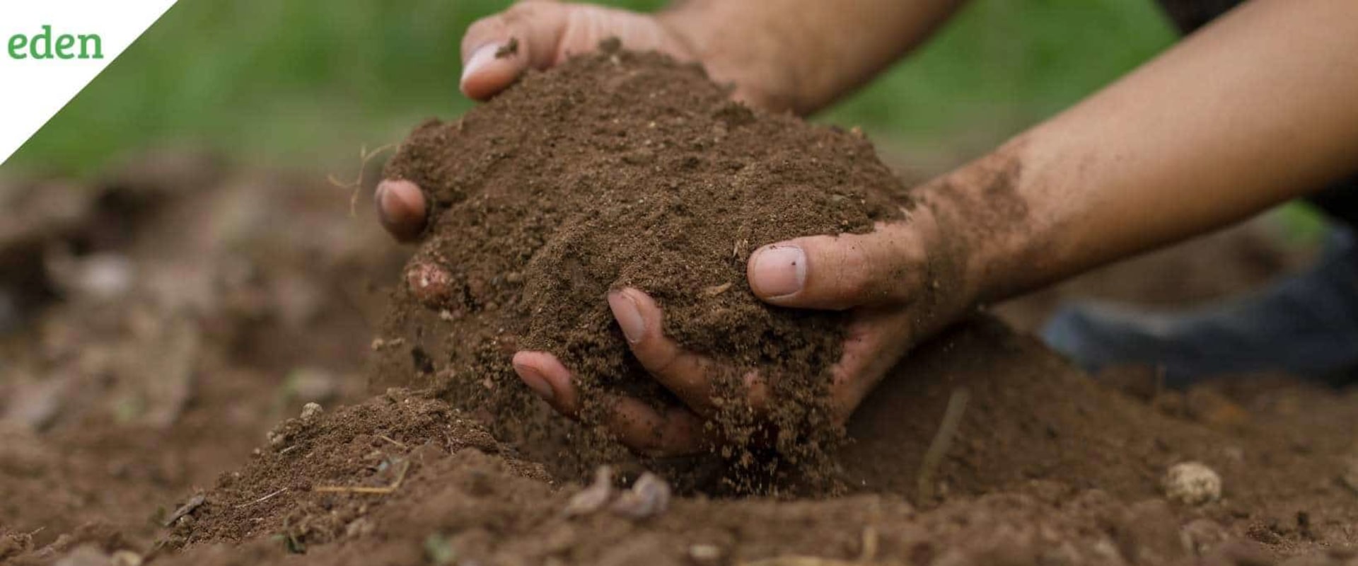 Controlling Soil Compaction in Landscape Design: An Expert's Guide