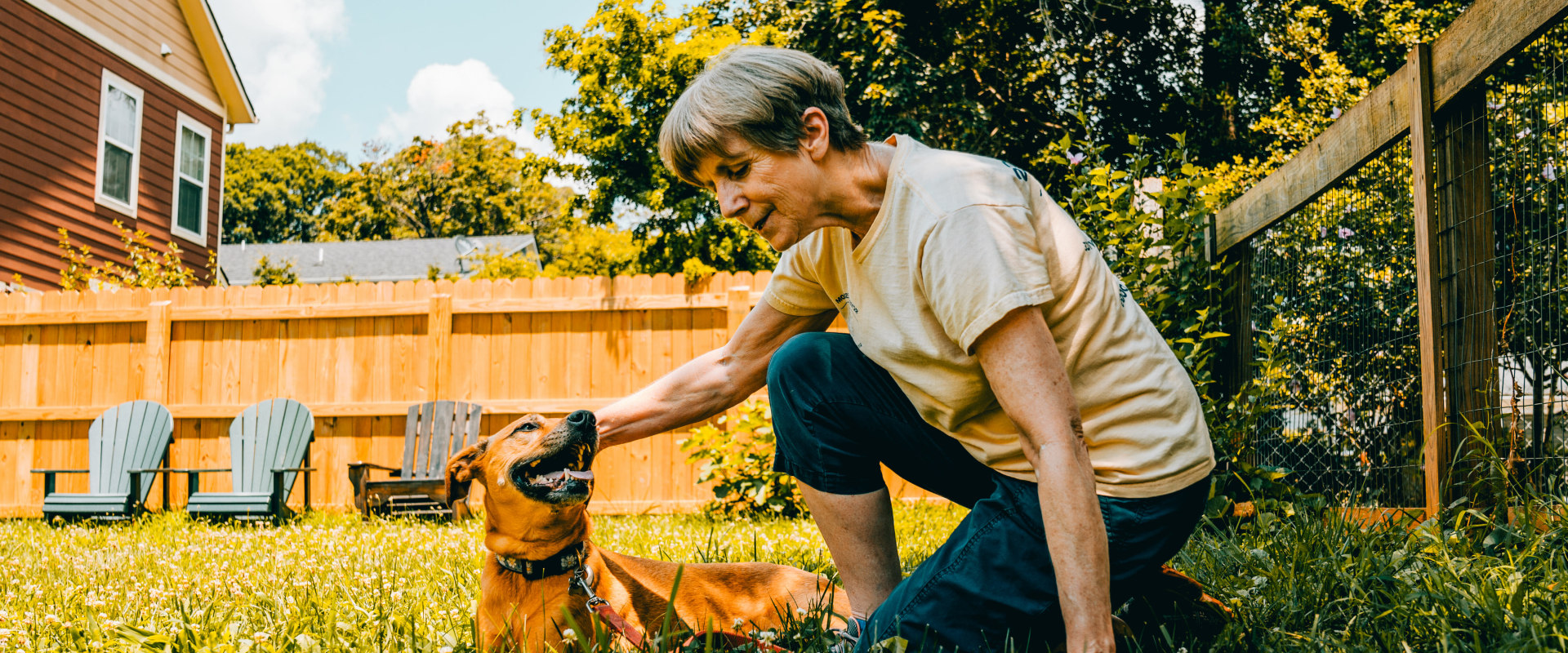 Creating a Safe Environment for Children and Pets: A Guide for Parents ...