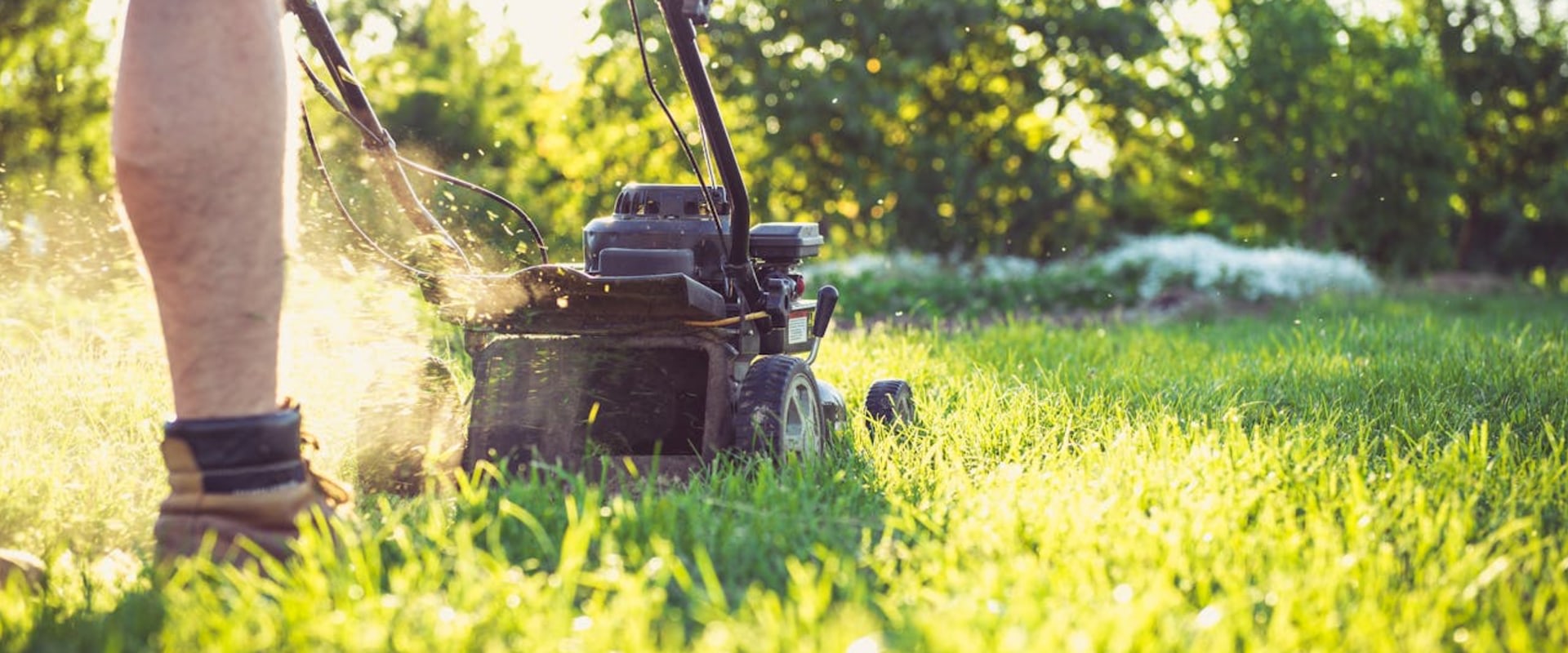 The Ultimate Guide To Yard Care Services In Pembroke Pines For Keeping ...