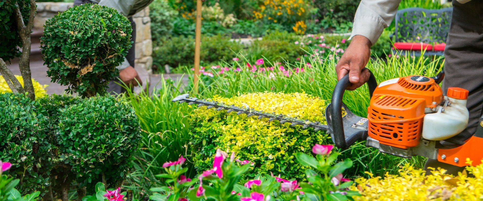 Grounds Maintenance: A Comprehensive Guide to Keeping Your Outdoor ...